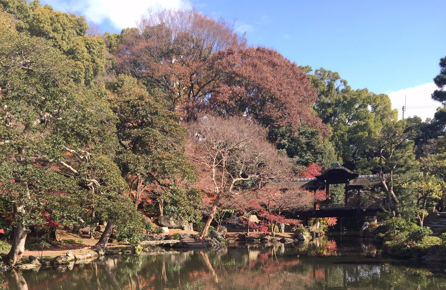 STYLION – Fashion. Food. Culture